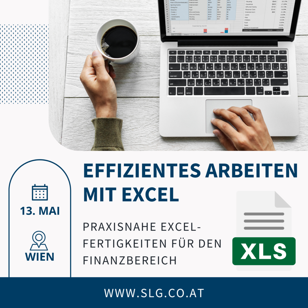 Effizientes Arbeiten mit Excel - SLG
